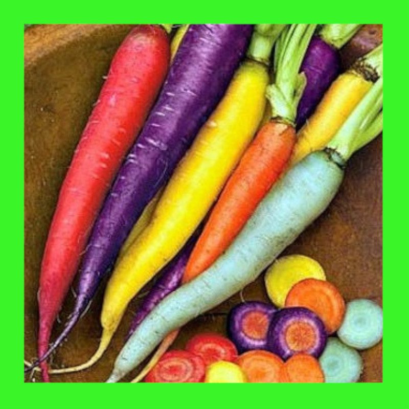 Colored Carrot Varieties