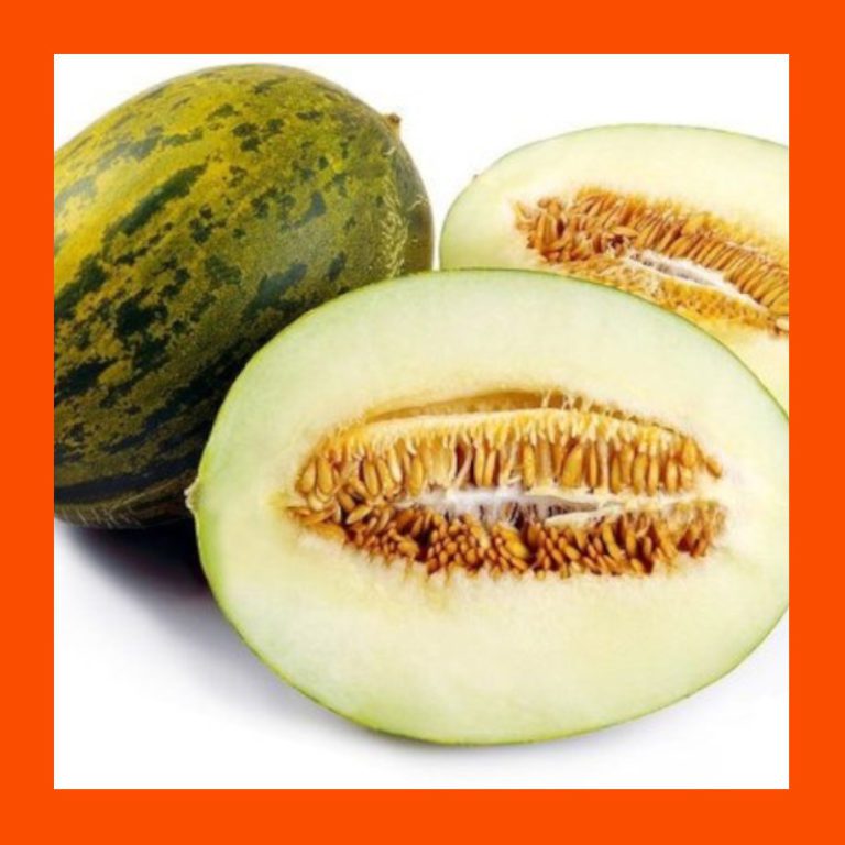 FRUIT-SPANISH-PIEL de SAPO- open pollinated seeds