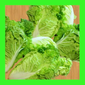 Vegetables Archives - Page 13 of 26 - ABSeeds