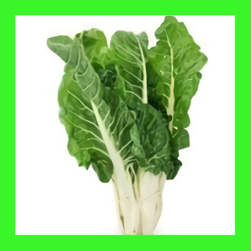 SILVERBEET-FORDHOOK GIANT - Heritage open pollinated seeds