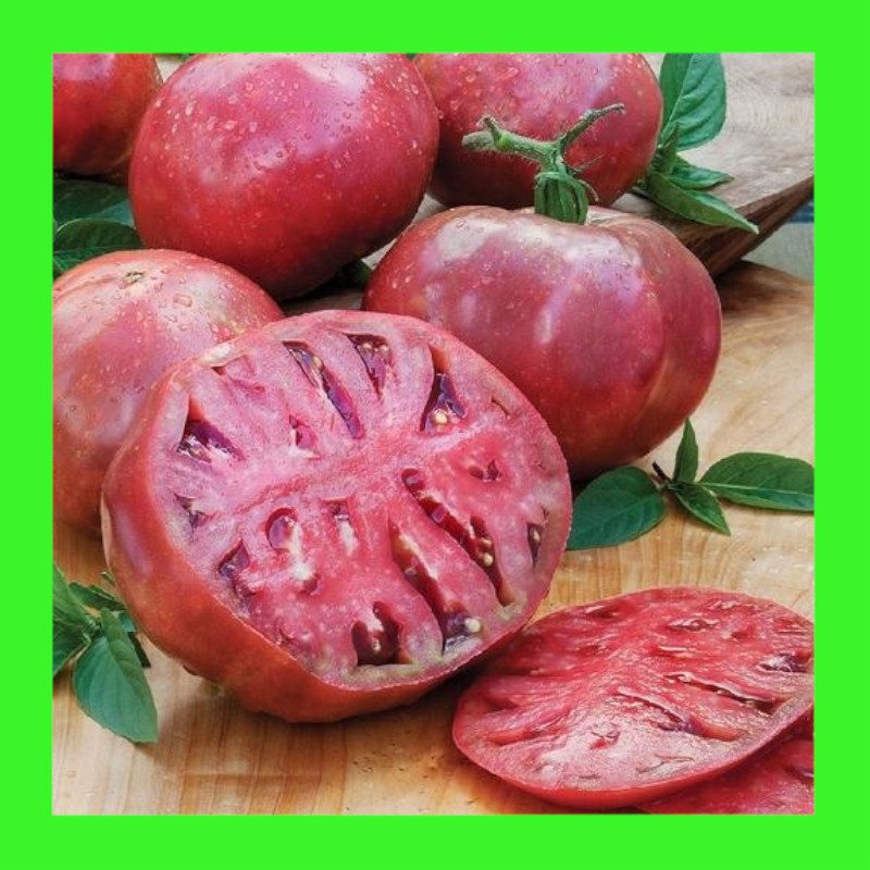 TOMATO-CHEROKEE PURPLE - Heritage organic open pollinated seeds