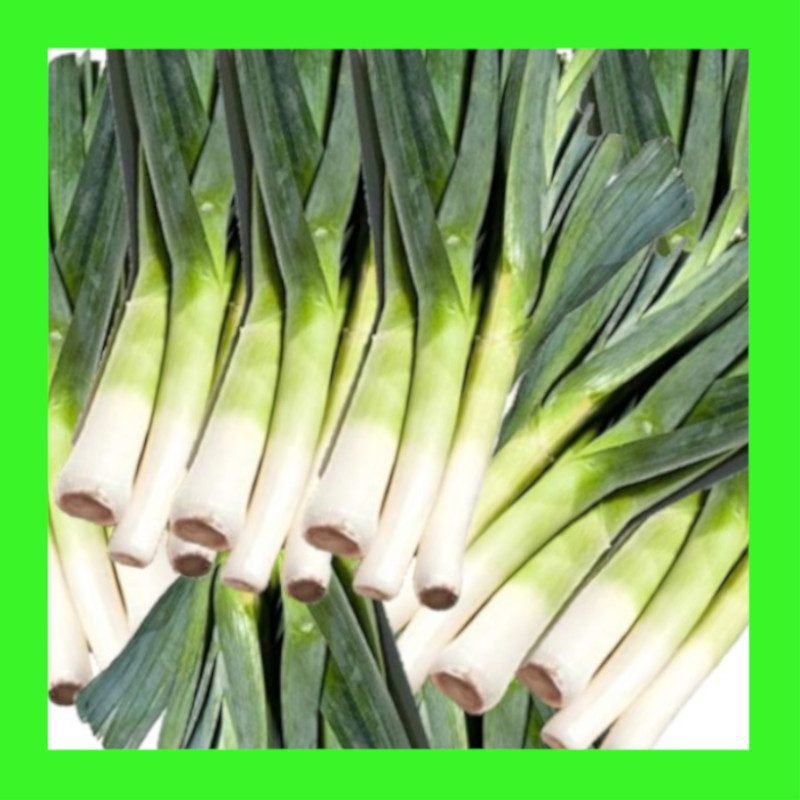 LEEK-AMERICAN FLAG - ABSeeds